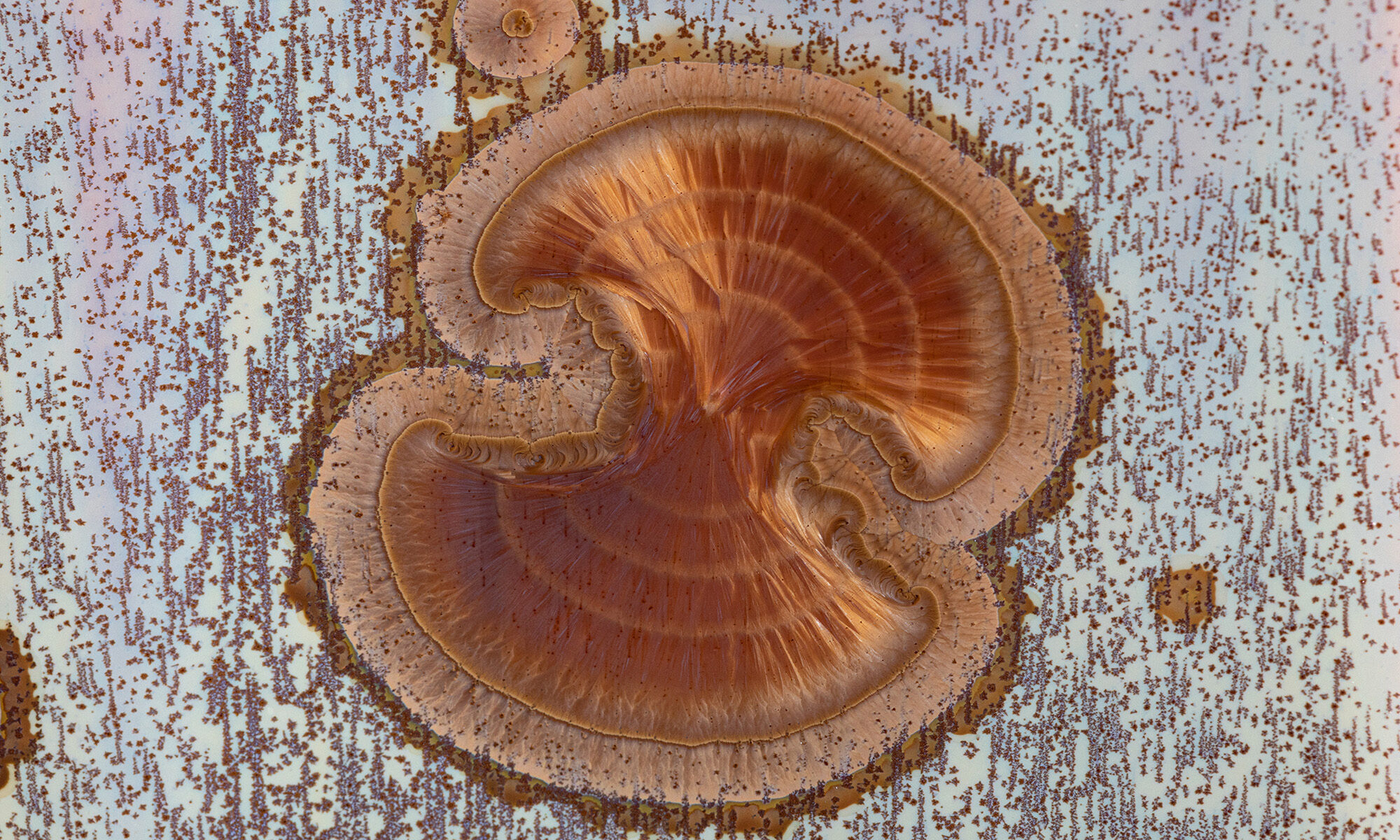 A close look at crystals – Crystalline Ceramics